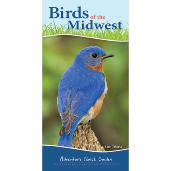 Stan Tekiela | Other | Birds Of The Midwest Identify Backyard Birds ...